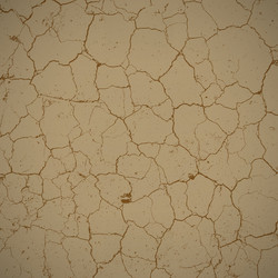 Dry cracked soil Royalty Free Vector Image - VectorStock