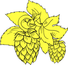 Hops Vector Images (over 51,000)