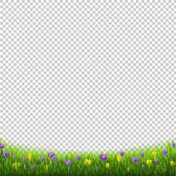 Transparent Border Vector Images (over 40,000)