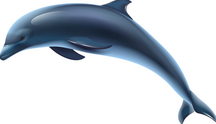 Dolphin Vector Images (over 27,000)