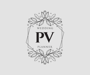 Pv initials letter wedding monogram logos Vector Image