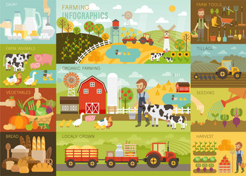Cow Infographic Vector Images (over 1,600)