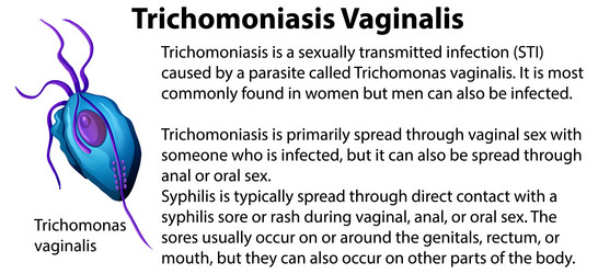 Trichomoniasis In Mouth