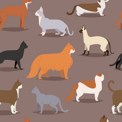 Different cat breeds cute kitty pet cartoon Vector Image