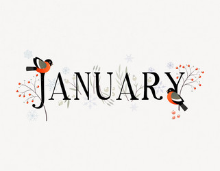 January month name handwritten calligraphic word Vector Image
