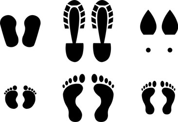 Ballerina feet in pointe shoes five ballet Vector Image