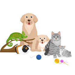 Home pets set cat dog parrot goldfish hamster Vector Image