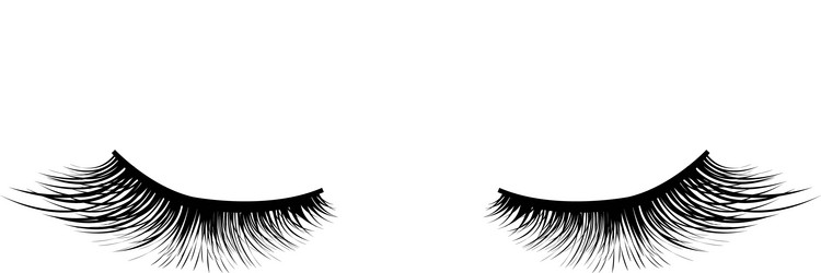Eyelid Vector Images (over 3,000)
