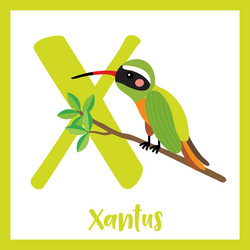 Letter X Flashcards Vector Images (over 140)