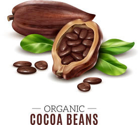 Cocoa Vector Images (over 44,000)