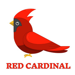Red cardinal bird on a white background Royalty Free Vector