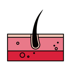 Skin and organs Royalty Free Vector Image - VectorStock