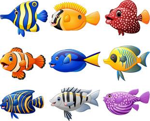 Fish cartoon set Royalty Free Vector Image - VectorStock