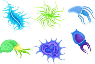 Bacteria and germs different shapes isolated Vector Image