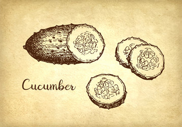 Pickle Texture Vector Images (over 440)