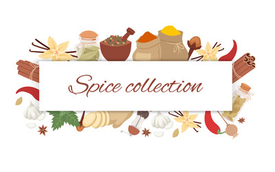 Aromatic spices collection cartoon herbs Vector Image