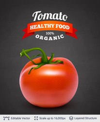 Tomato and text Royalty Free Vector Image - VectorStock