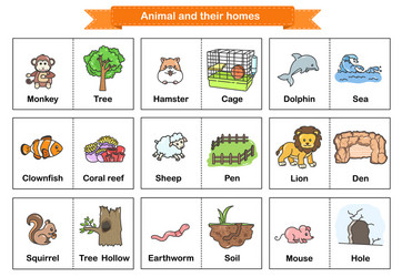 Match pictures animal and their homes Royalty Free Vector
