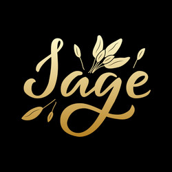 Symbols for Sage Vector Images (over 590)