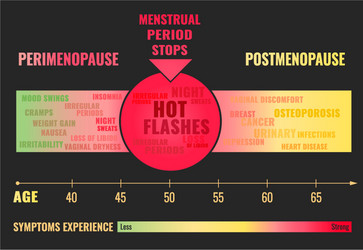 Menopause facts infographic Royalty Free Vector Image