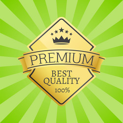 100 quality premium high end standard posters Vector Image