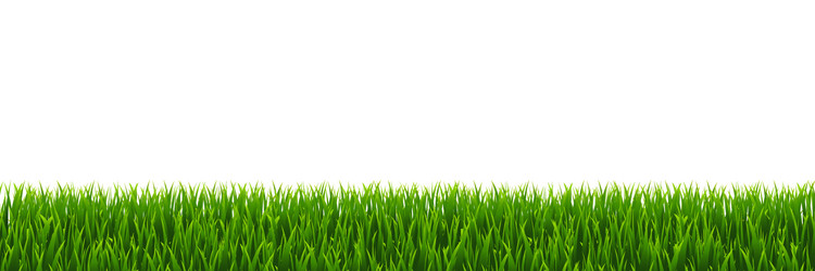 Grass Clipart Background