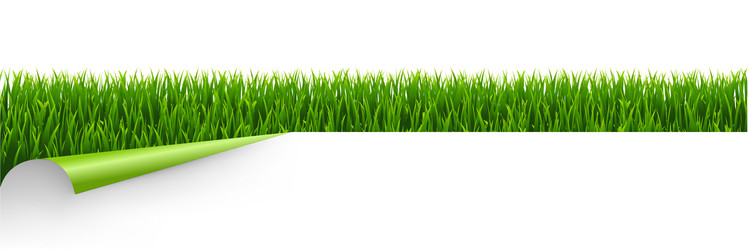 Grass paper Royalty Free Vector Image - VectorStock