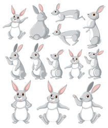 Cute rabbit cartoon character collection Vector Image