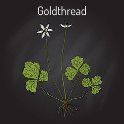 Bitter Symbol Vector Images (over 3,100)