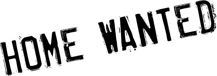 Home wanted rubber stamp Royalty Free Vector Image