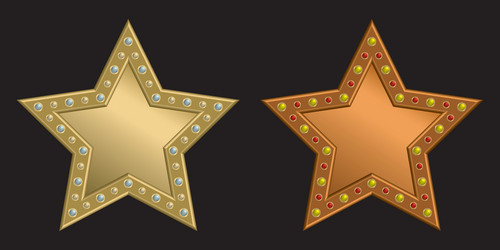 Star plaque Royalty Free Vector Image - VectorStock