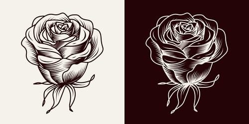 Rose Engraving Vector Images (over 7,100)