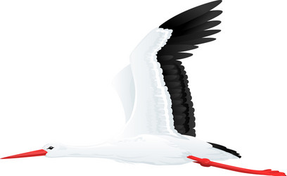 Stork flying with bundle Royalty Free Vector Image