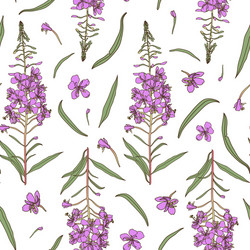 Fireweed Vector Images (over 200)