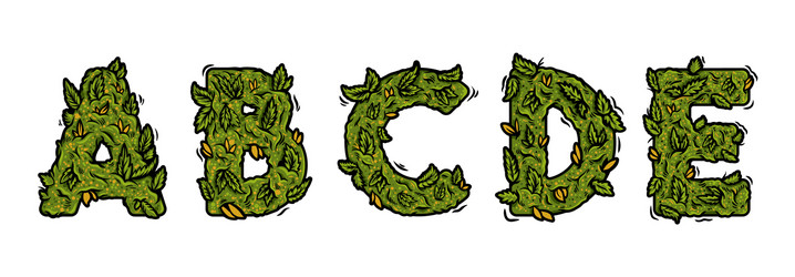 Decorative green marijuana alphabet design Vector Image