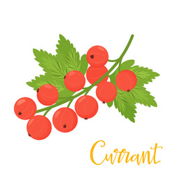 Cute little cartoon emoji blackberry isolated Vector Image