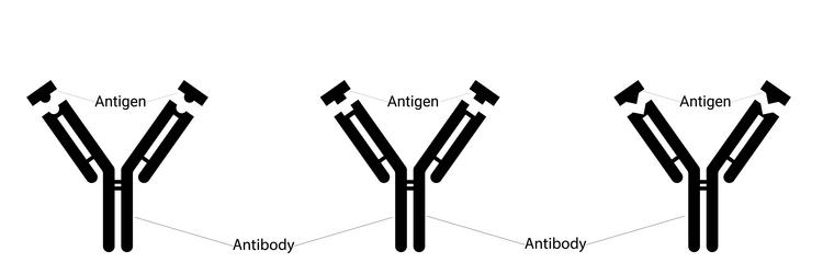 Igg Vector Images (over 190)