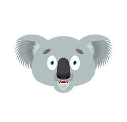 Koala scared bear frightened beast afraid Vector Image