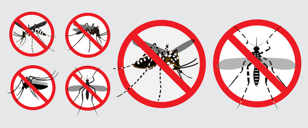 Chikungunya Vector Images (over 150)