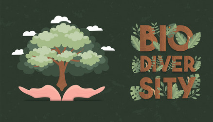 Biodiversity Poster Project