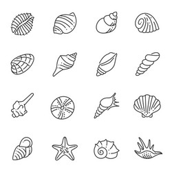 Shell line art sea shell continuous line Vector Image