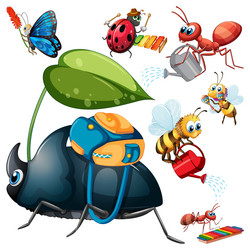 Free Clipart Insects And Bugs