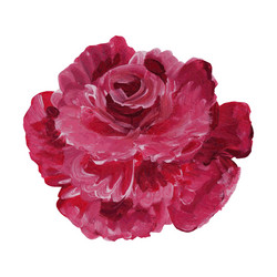 Heart-rose object flower on a white background Vector Image