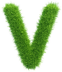 Capital letter f from grass on white Royalty Free Vector