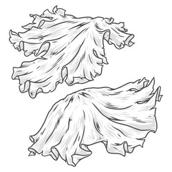 Lettuce leaf sticker monochrome detailed Vector Image