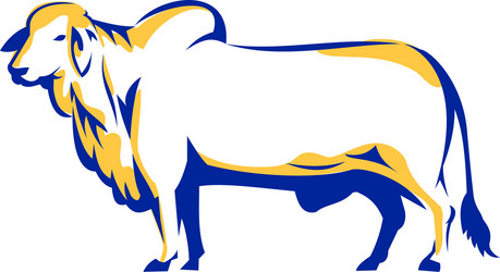 Brahman bull oval retro Royalty Free Vector Image