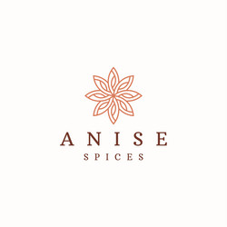 Star anise logo Royalty Free Vector Image - VectorStock