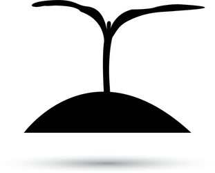 Biology little plant Royalty Free Vector Image