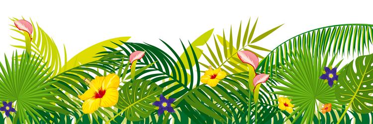 Flowers Bottom Border