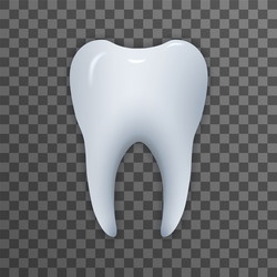 Shiny Tooth Vector Images (over 4,500)